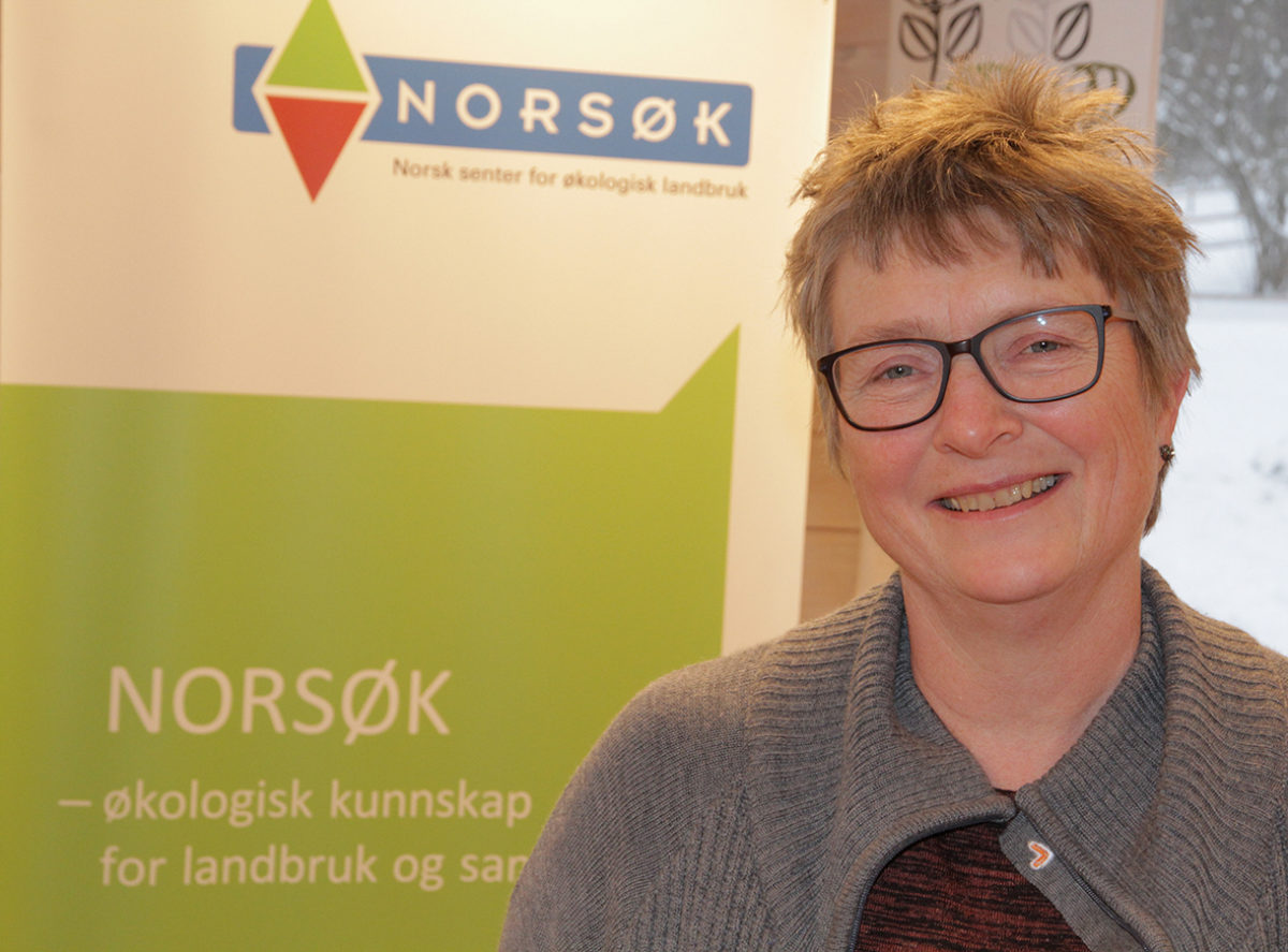 NORSØK klar for innsats for økologisk landbruk - Nyheter - Norsøk
